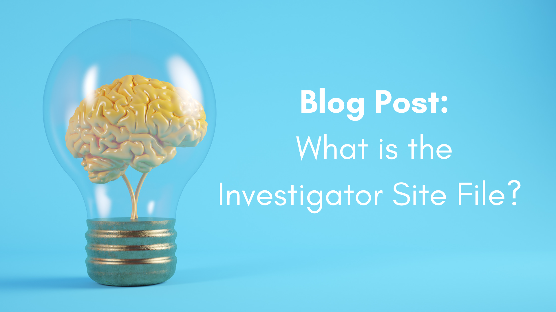 What is the Investigator Site File? | Arkivum